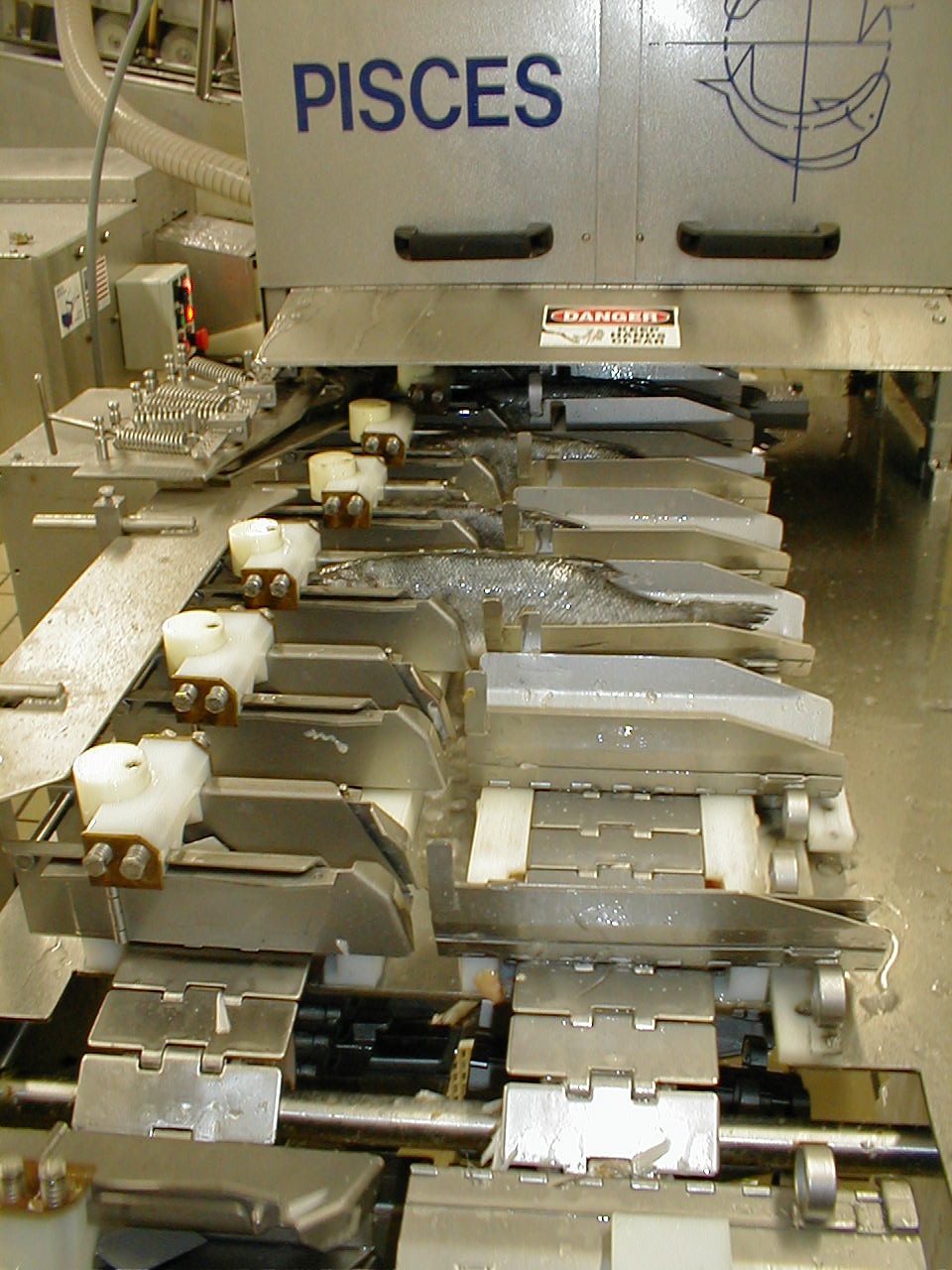 Head Cutting Machines – Pisces Fish Machinery