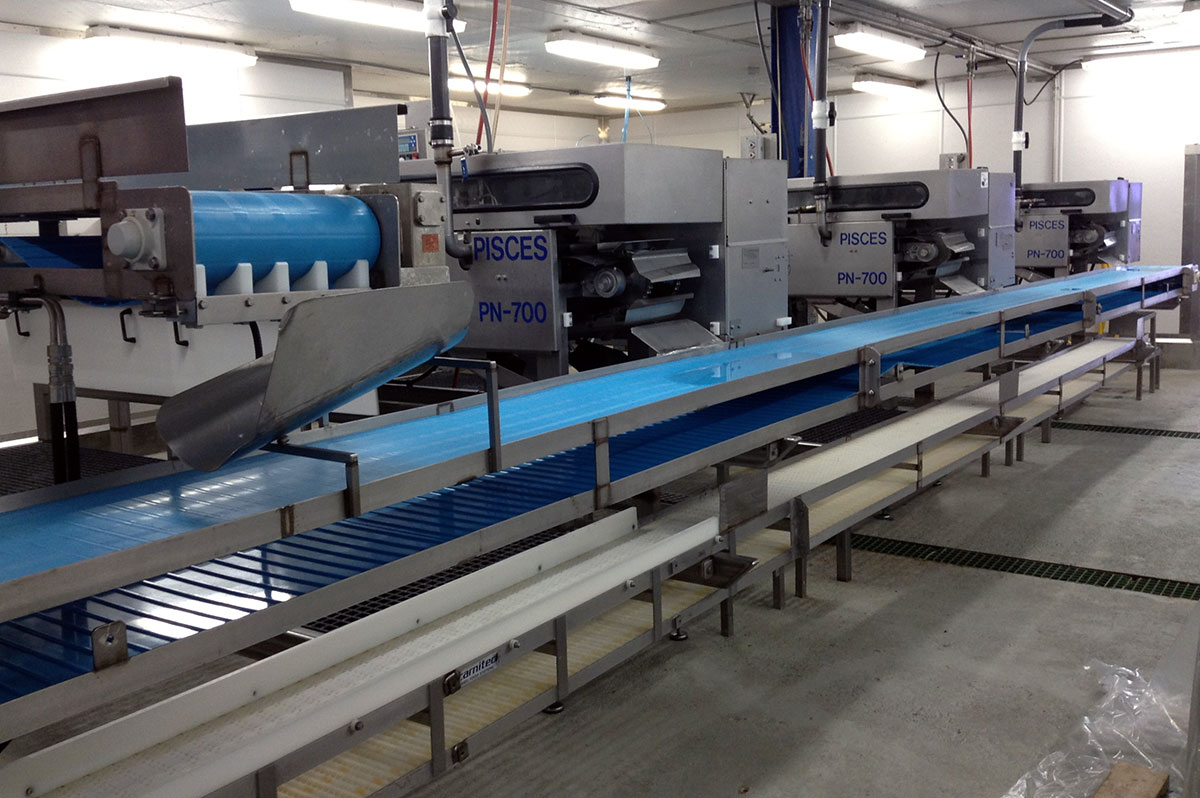 Nobbing Machines – Pisces Fish Machinery